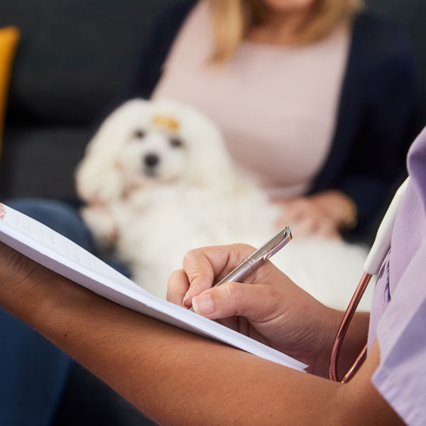 Nutritional Counseling - Cobb & Co Veterinary Clinic